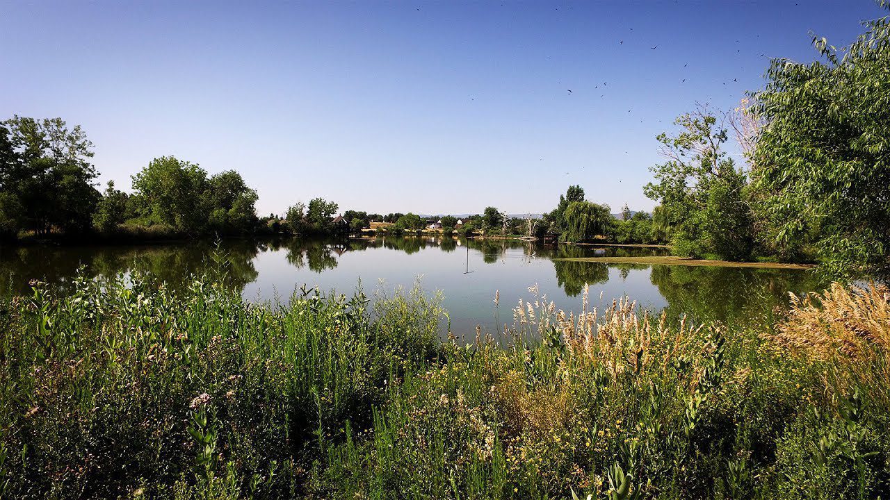 Dig Studio Landscape Architecture Series: Belmar Park - Denver ...