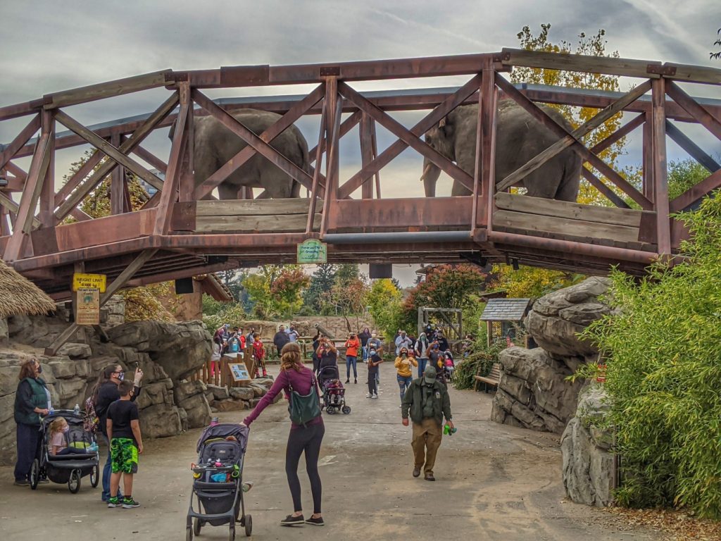DOD Insider Tour | Denver Zoo: Landscape Architecture - Denver ...